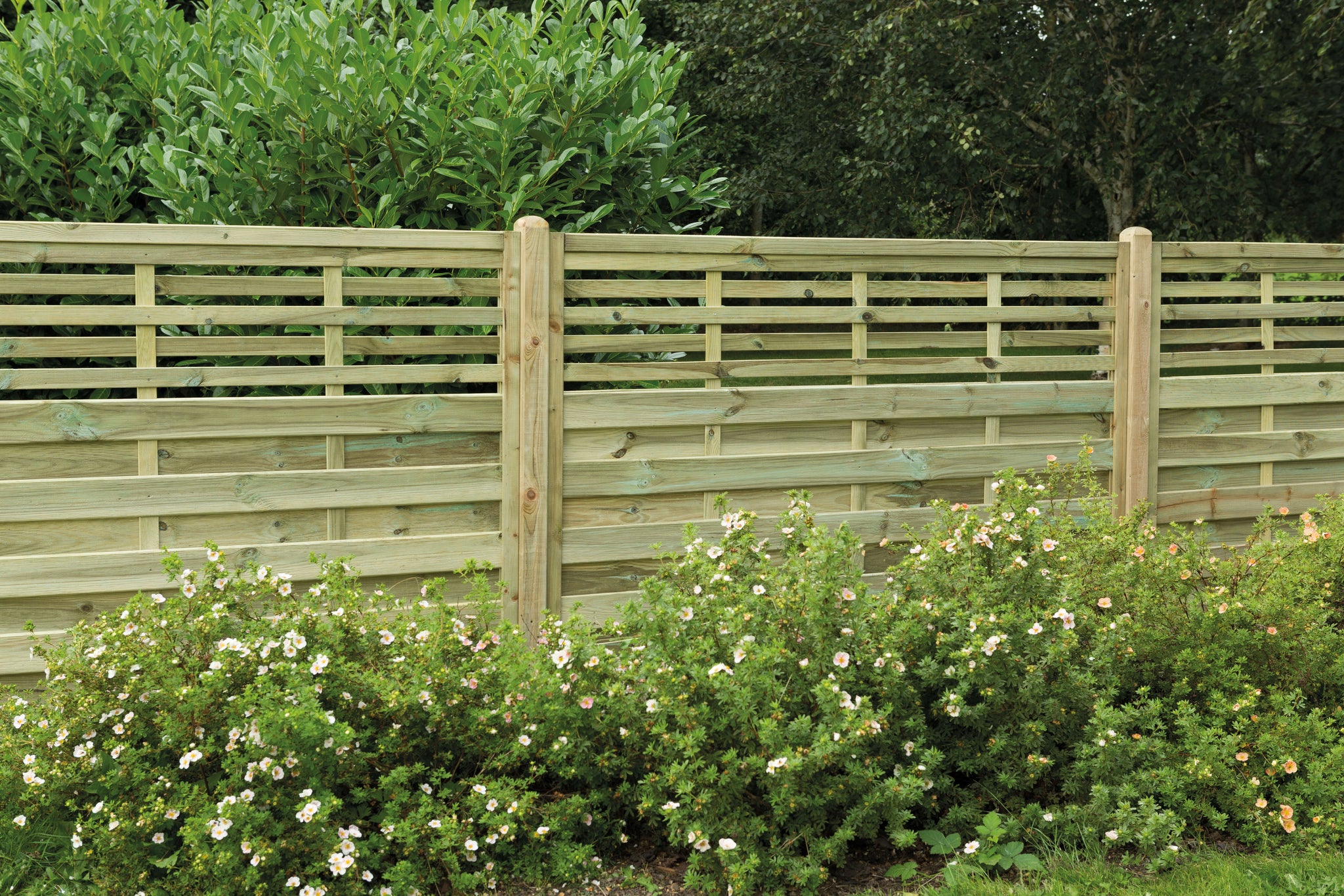 Forest Garden Pressure Treated Decorative Kyoto Fence Panel – Sam ...