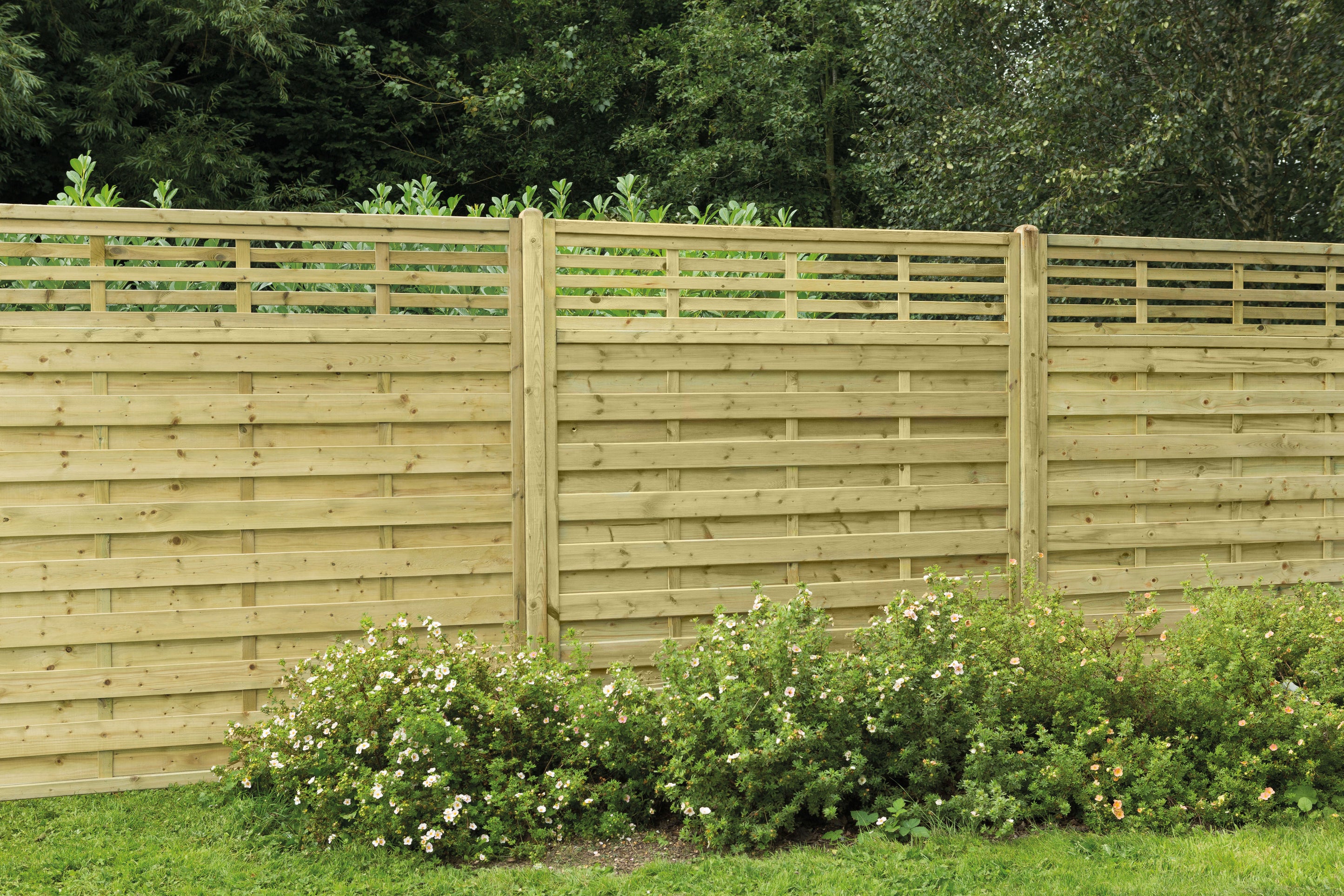 Forest Garden Pressure Treated Decorative Kyoto Fence Panel – Sam ...