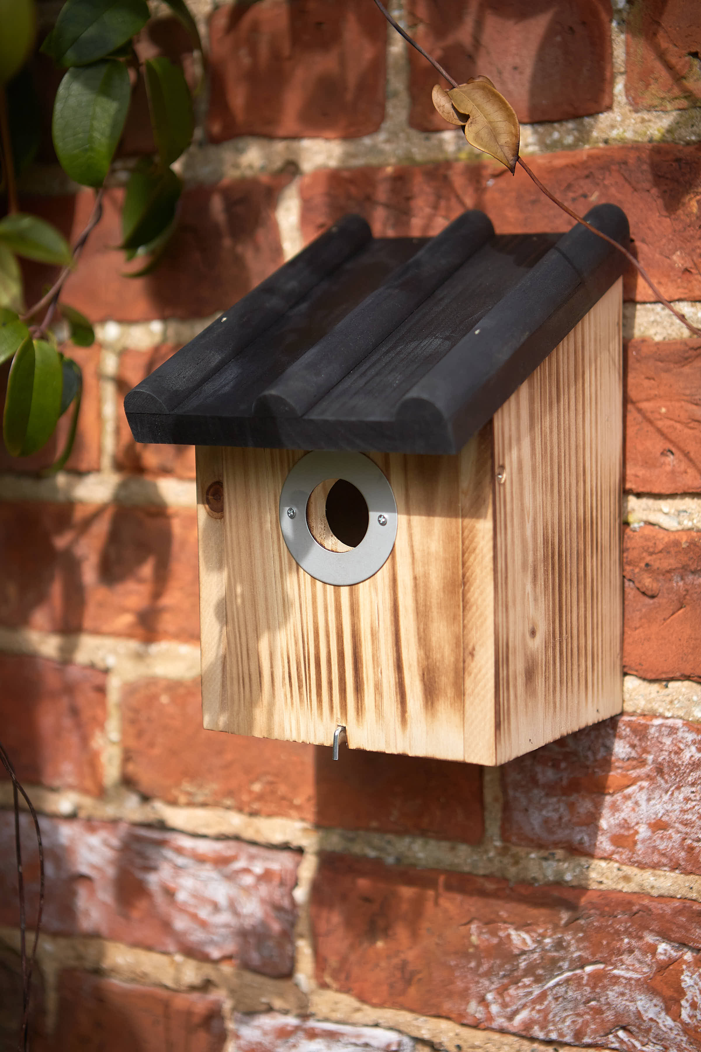 Tom Chambers Crest Nest Box – Sam Turner & Sons