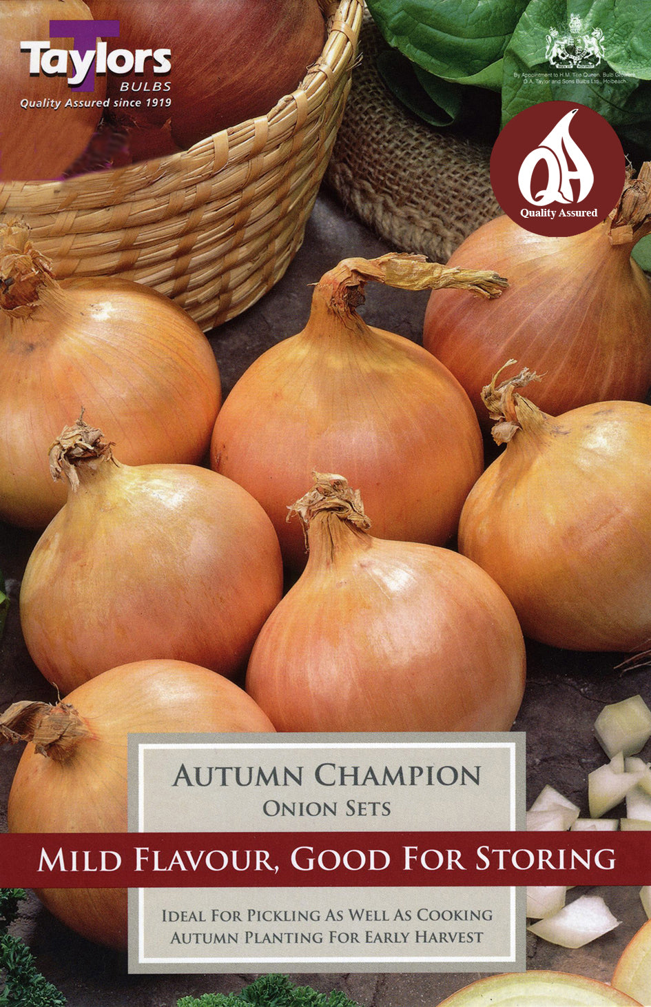 Autumn Champion Onion Pre-Pack – Sam Turner & Sons