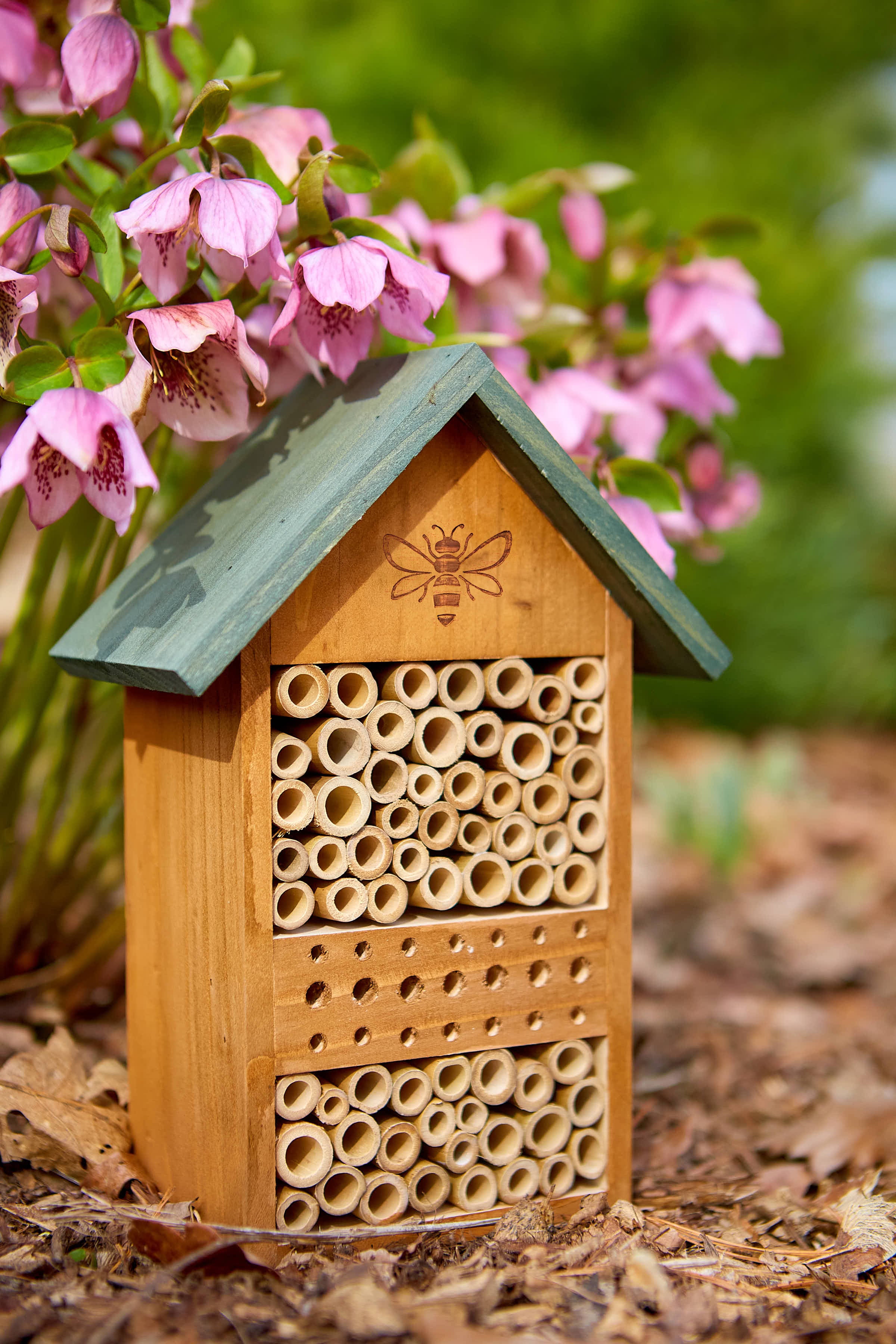 Tom Chambers Insect & Bee Stall – Sam Turner & Sons
