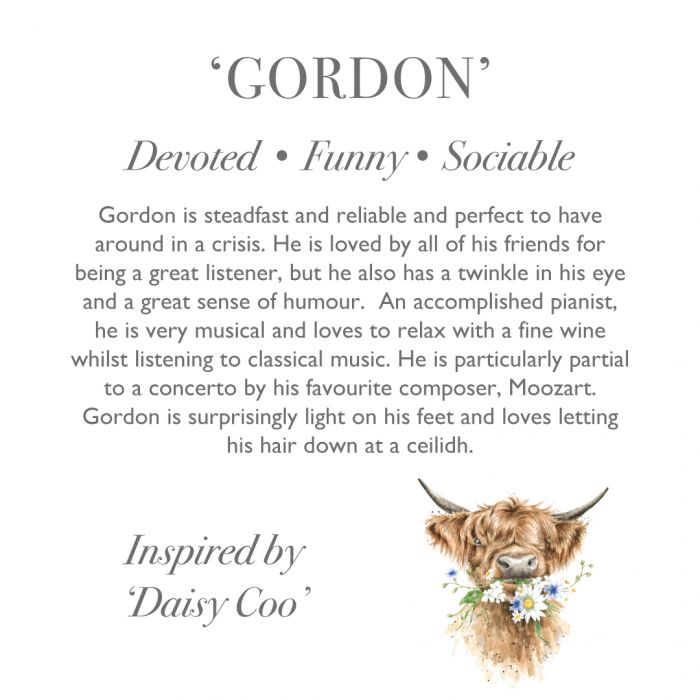 Wrendale Gordon Highland Cow Plush Toy – Sam Turner & Sons