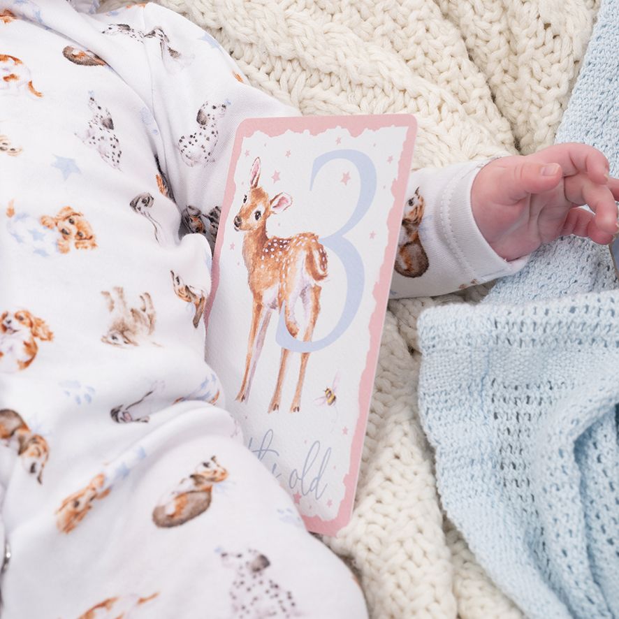 Wrendale Baby Animal Milestone Cards – Sam Turner & Sons