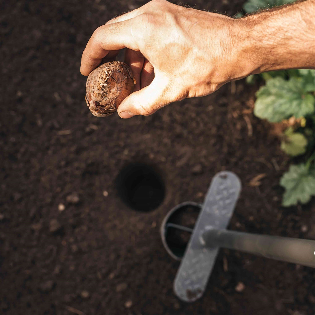 Fiskars Ergo Bulb Planter – Sam Turner & Sons