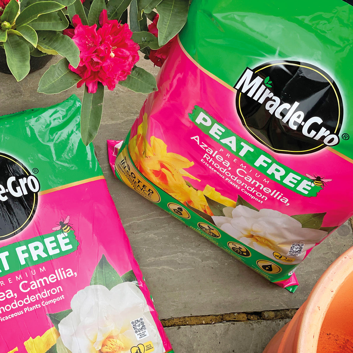 Miracle-Gro Peat Free Azalea, Camelia & Rhododendron Compost 40L – Sam ...