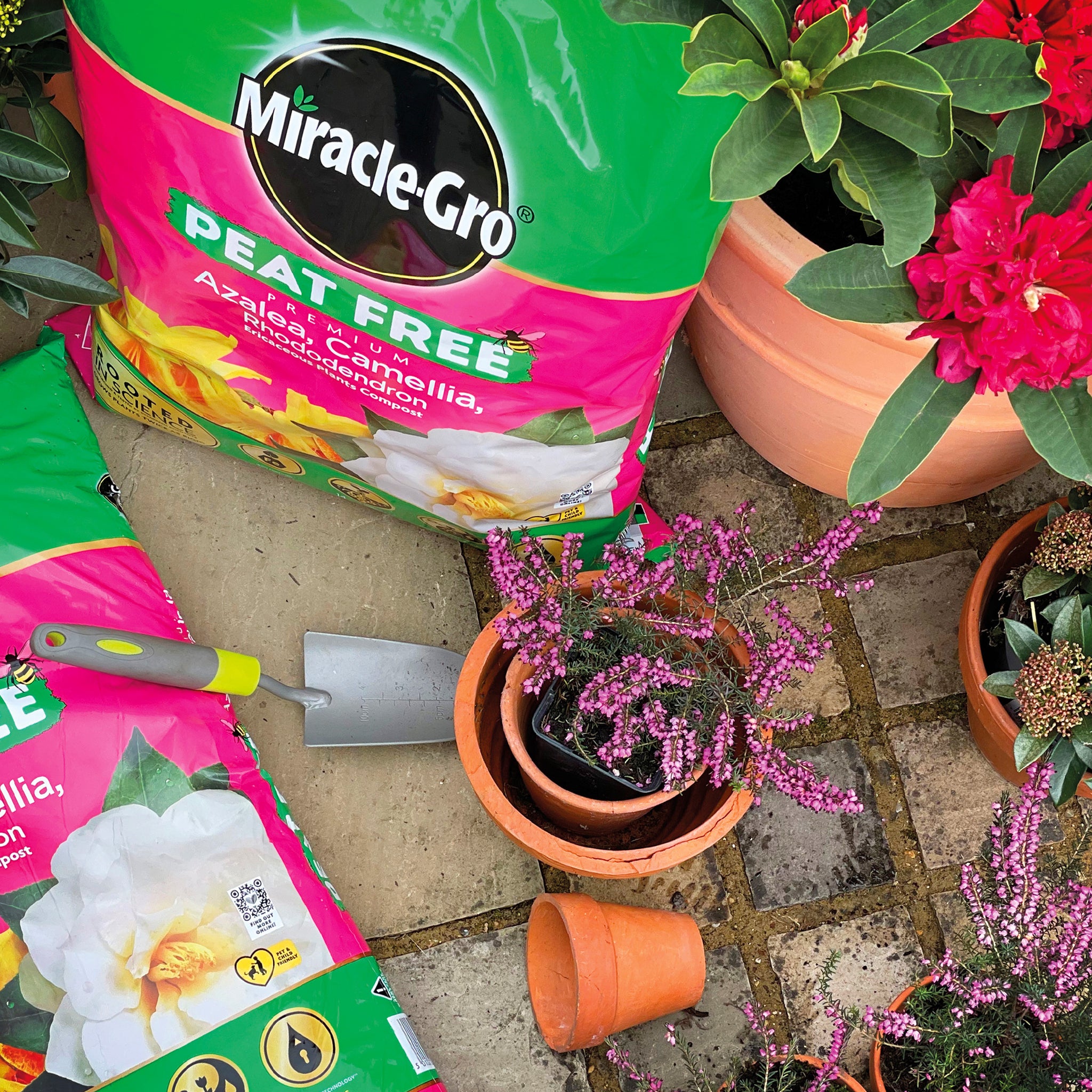 Miracle-Gro Peat Free Azalea, Camelia & Rhododendron Compost 40L – Sam ...
