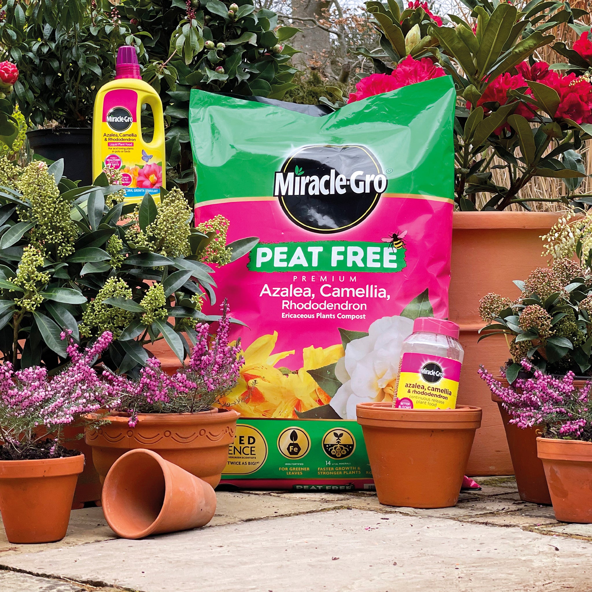 Miracle-Gro Peat Free Azalea, Camelia & Rhododendron Compost 40L – Sam ...