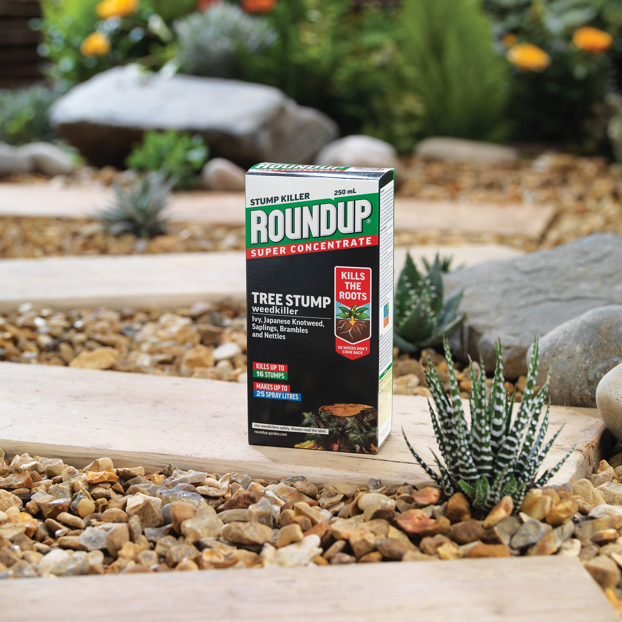 Roundup Tree Stump & Root Killer 250ml – Sam Turner & Sons