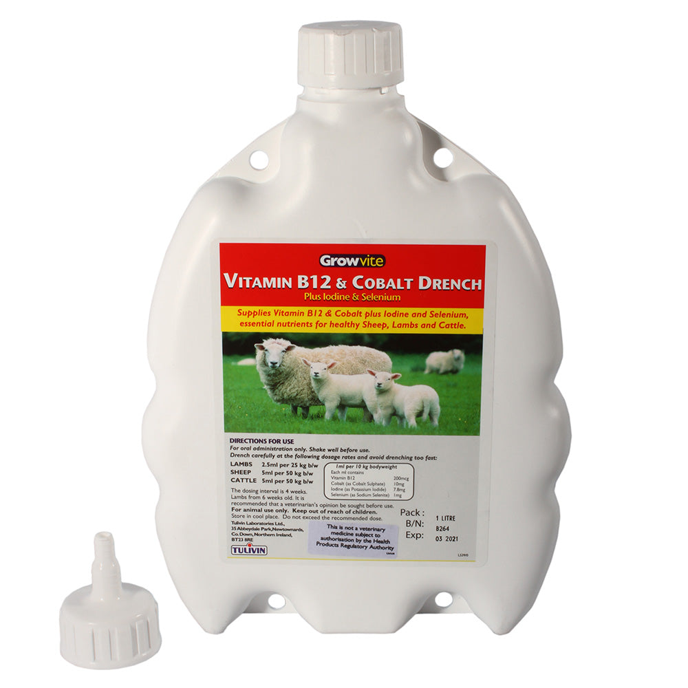 Growvite B12 Selenium & Cobalt Drench – Sam Turner & Sons
