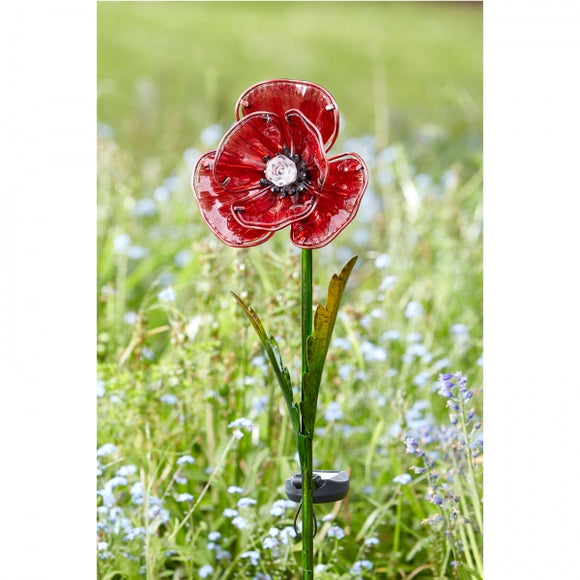 Smart Garden Solar Powered Poppy – Sam Turner & Sons