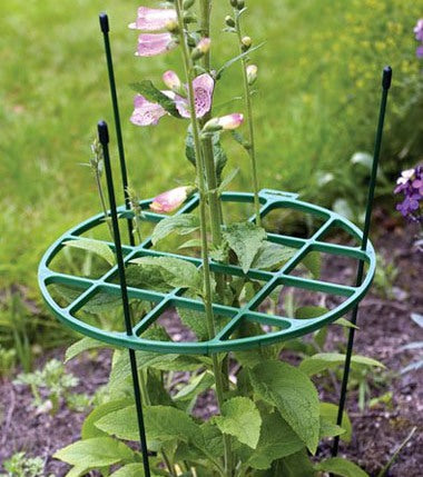 The Good Life Large Plant Support Ring 400mm – Sam Turner & Sons