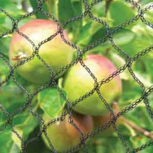 Tildenet Premium Anti Bird Netting 8m - Per Metre – Sam Turner & Sons