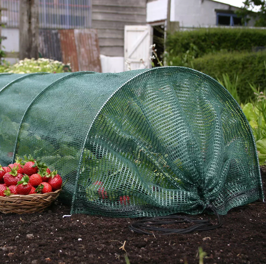 Haxnicks Net Grow Tunnel Kit | 3m x 1m – Sam Turner & Sons