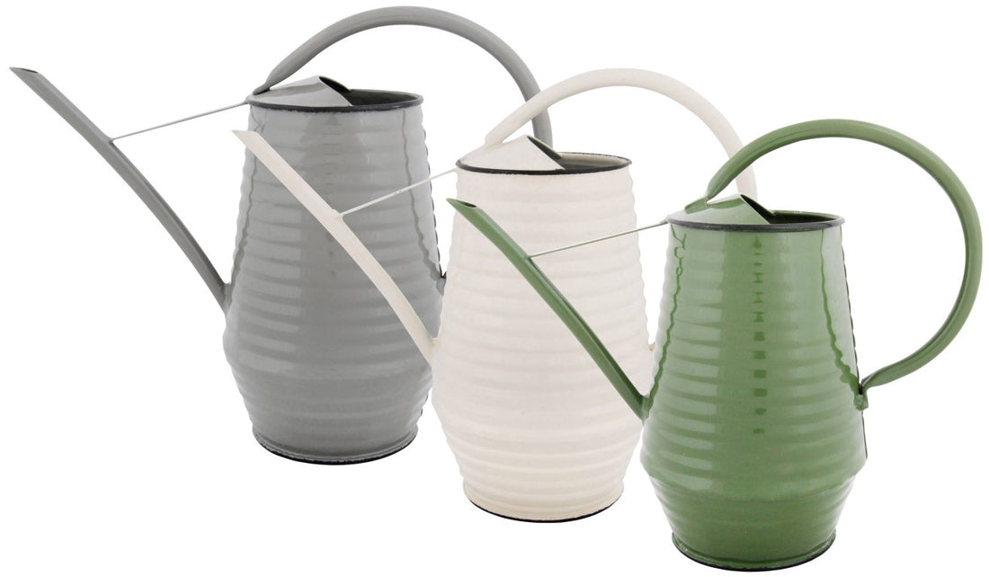Fallen Fruits Watering Can Assorted Colours 940ml – Sam Turner & Sons