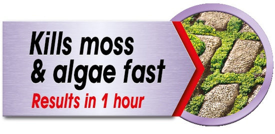 Job Done Moss Killer Ready To Use 1L | Job Done Moss Killers – Sam ...