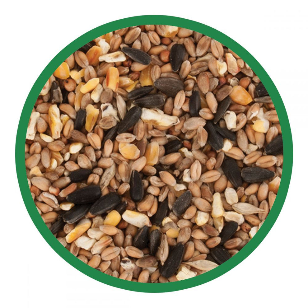Walter Harrison's Wild Bird Mix Bird Feed Pouch 4kg | Walter Harrison's ...